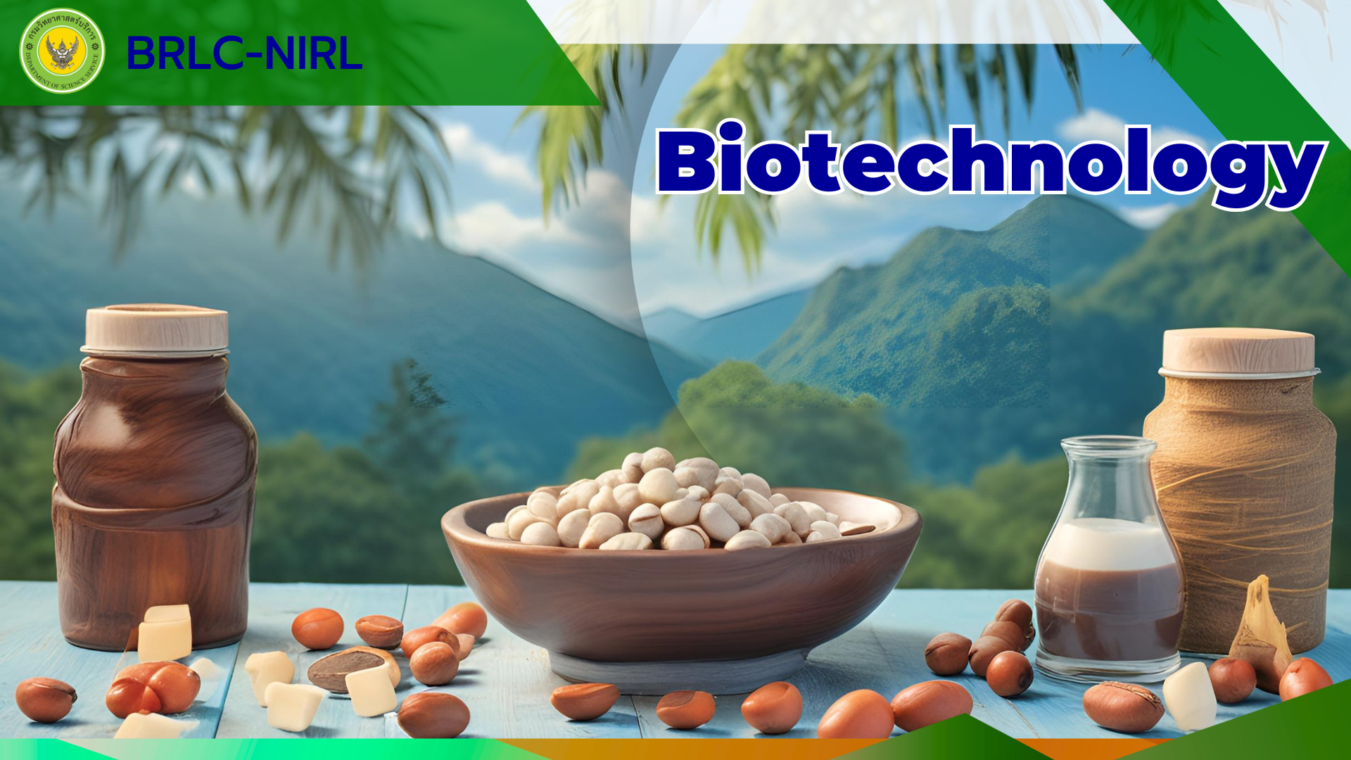 NIRL-DSS – National Institute of Reference Laboratories