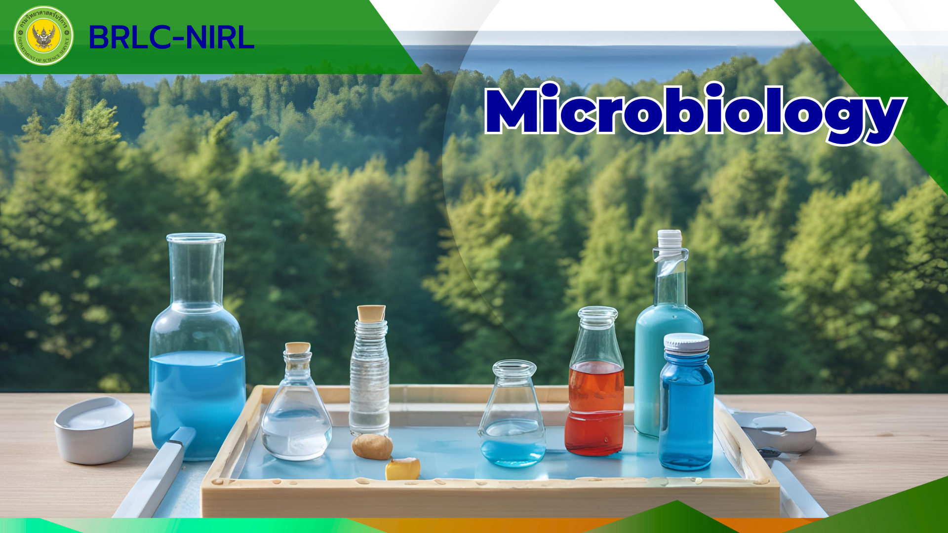 NIRL-DSS – National Institute of Reference Laboratories