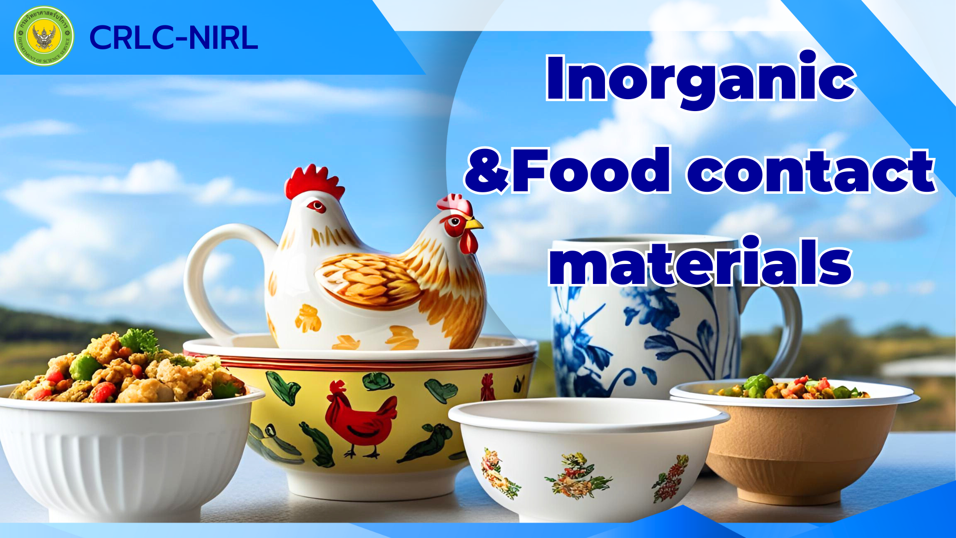 NIRL-DSS – National Institute of Reference Laboratories